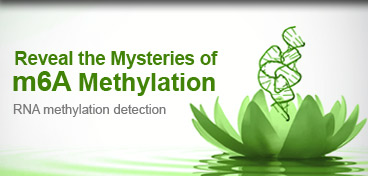 Epigentek - Complete Solutions for Epigenetics