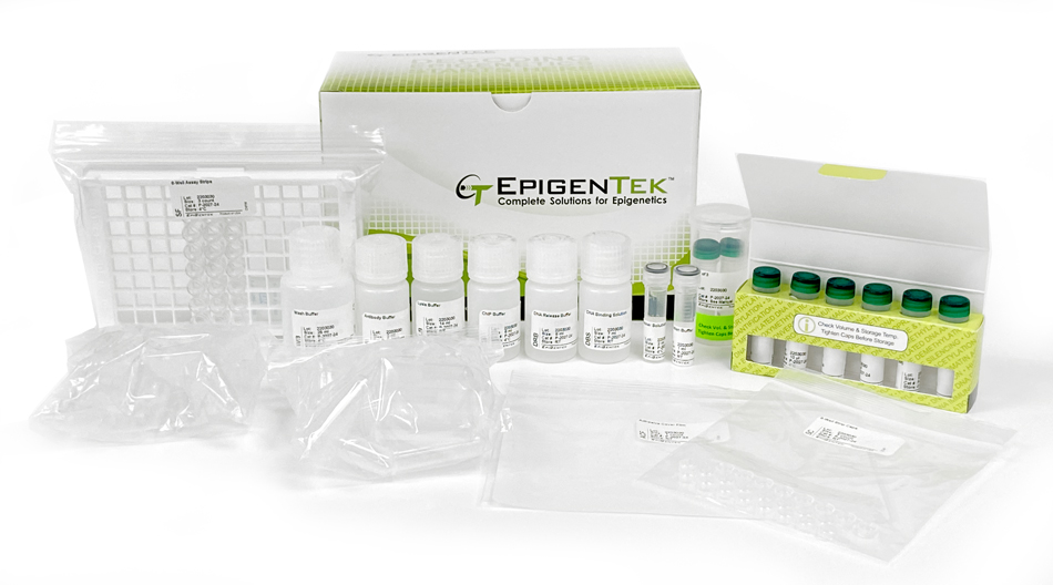 ChromaFlash High-Sensitivity ChIP Kit | EpigenTek