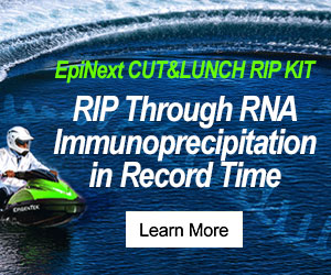 RNA Immunoprecipitation | EpigenTek