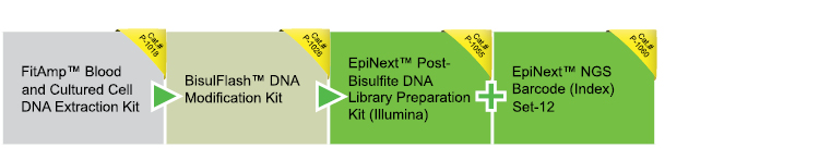 Next Generation Sequencing | EpigenTek