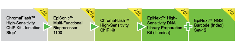 Next Generation Sequencing | EpigenTek
