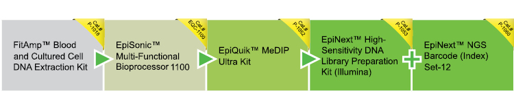 Next Generation Sequencing | EpigenTek