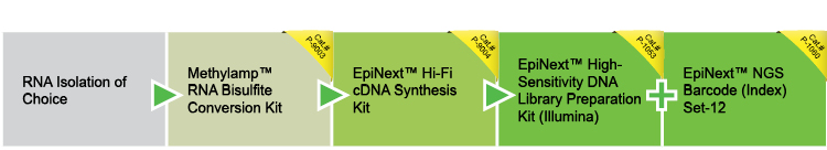 Next Generation Sequencing | EpigenTek