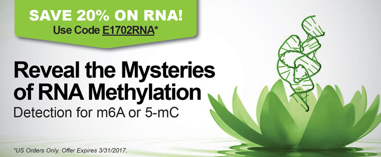 RNA Methylation | EpiGentek