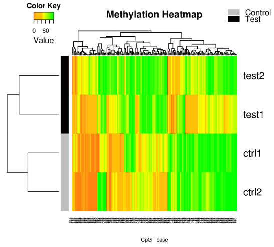 DNA Methylation Analysis - Epigenetic Services