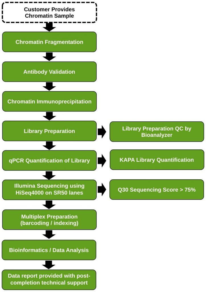 ChIP Sequencing (ChIP-Seq) Service - Epigenetic Services ChIP Sequencing (ChIP-Seq) Service - Epigenetic Services