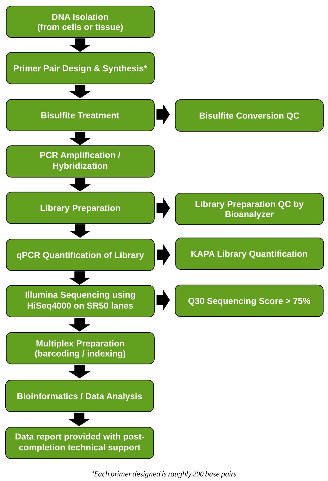 Targeted Bisulfite Sequencing (Methyl-Seq) Service - Epigenetic Services